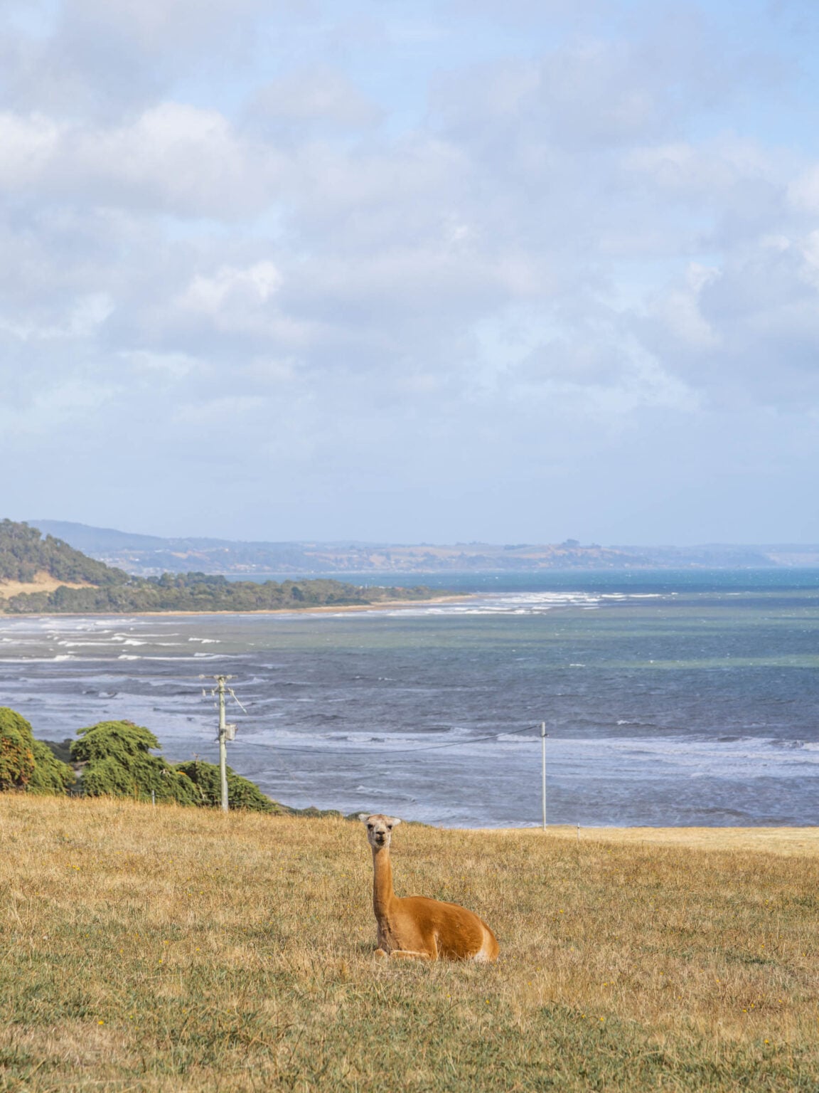 Northern Tasmania's hidden gems: A slow road trip | Life Unhurried